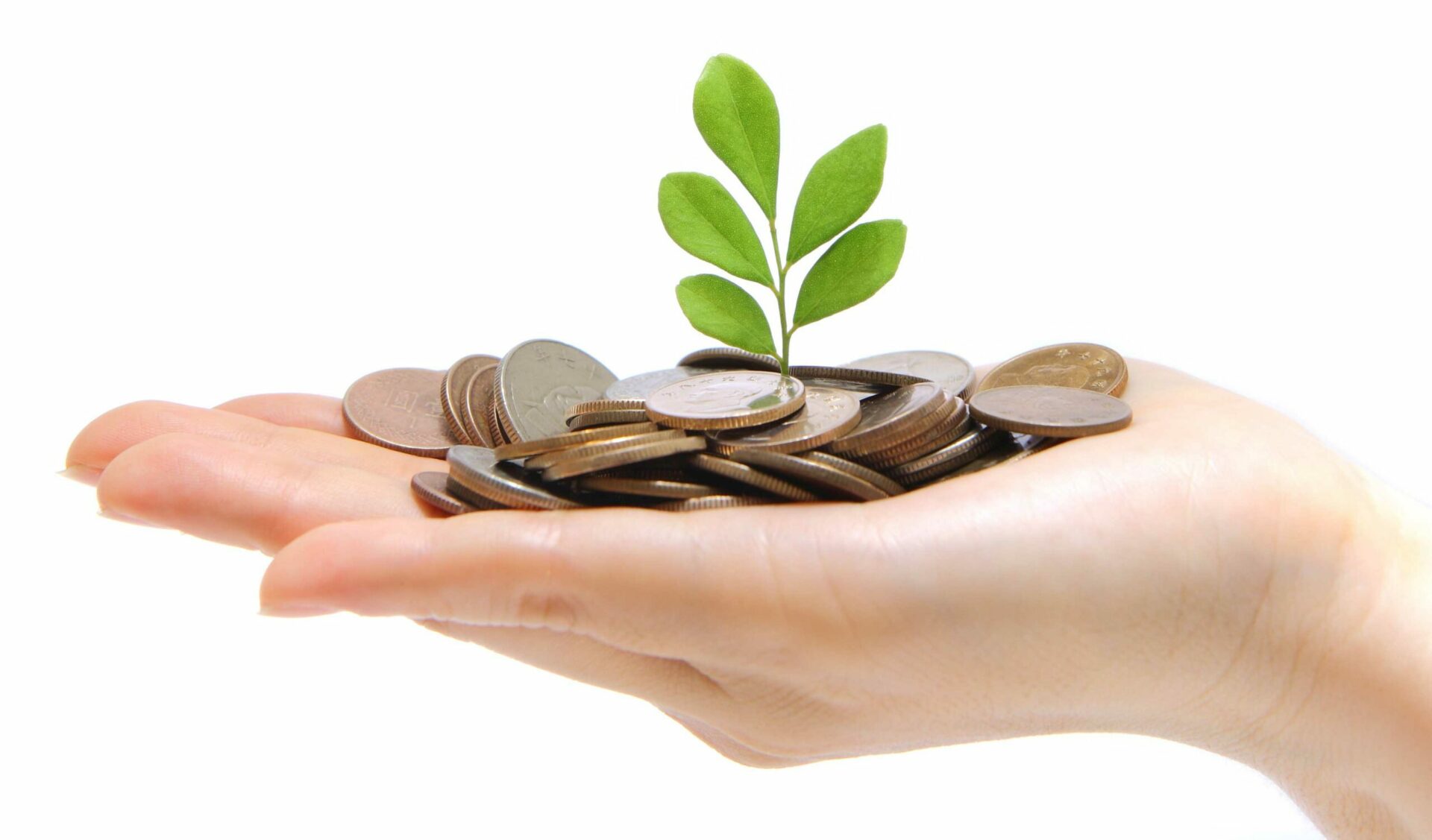 8 Ways to Be Greener (and Save Money) at College | StartSchoolNow
