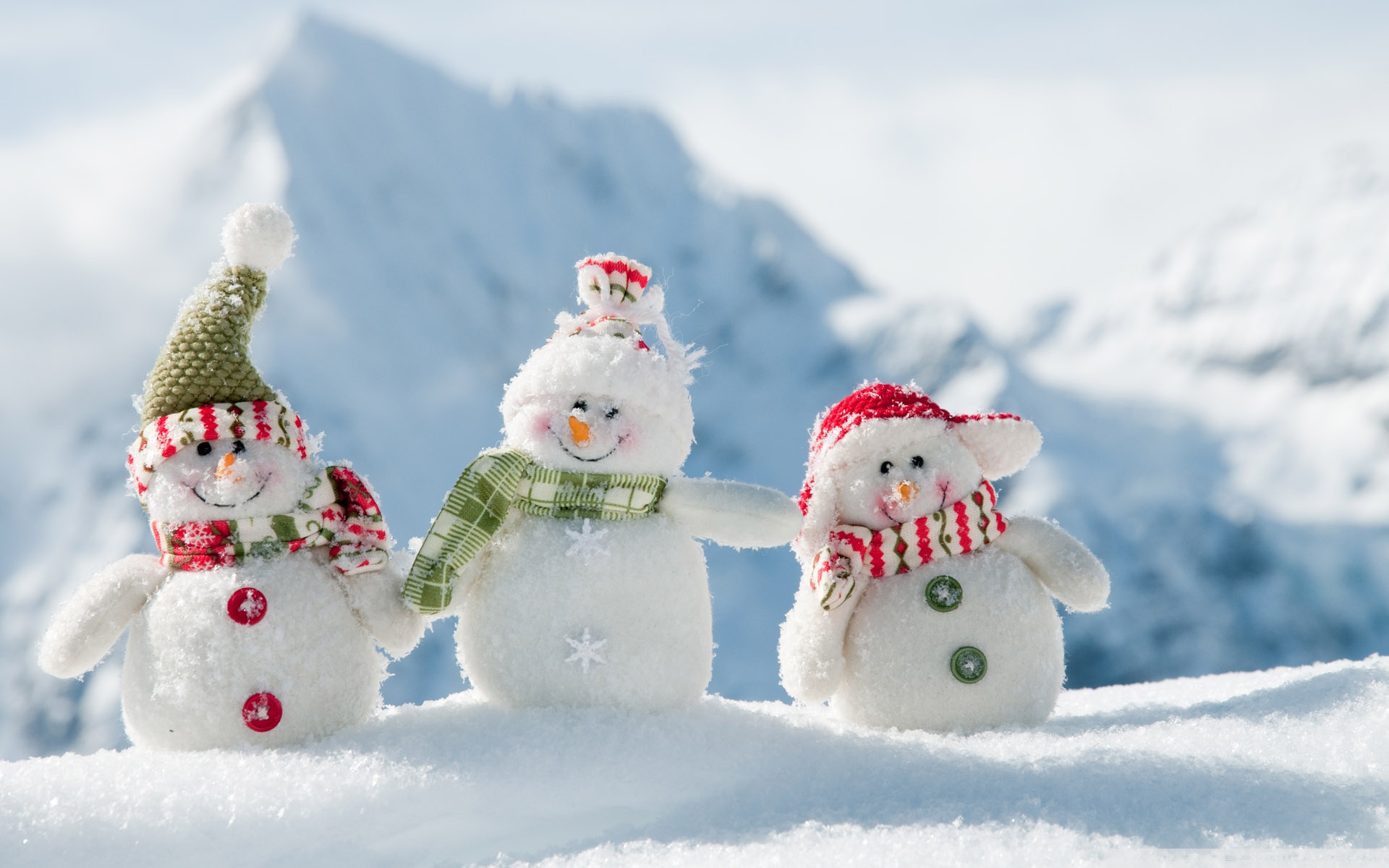 Winter Break Ideas For College Students StartSchoolNow
