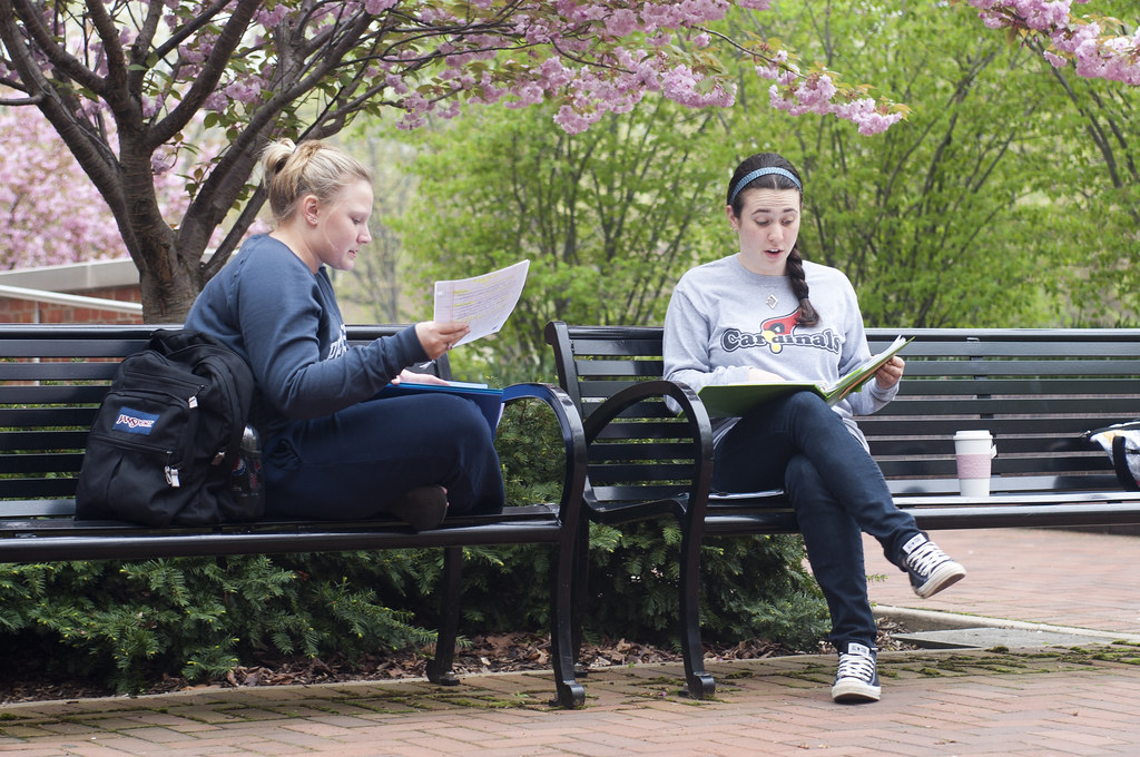 5 Best Places to Study in College | StartSchoolNow